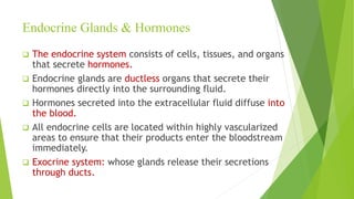4-Anatomy of endocrine system (1).pdf