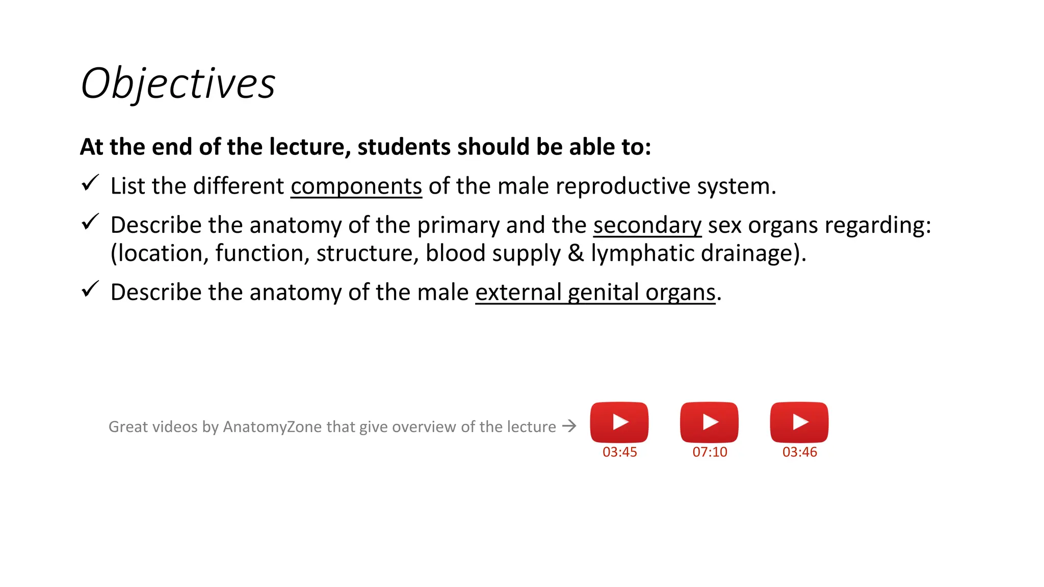 4- Anatomy of Male Reproductive System.pdf