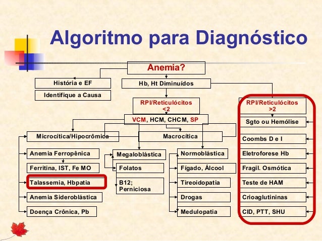 Anemias Hemolíticas Visão Geral