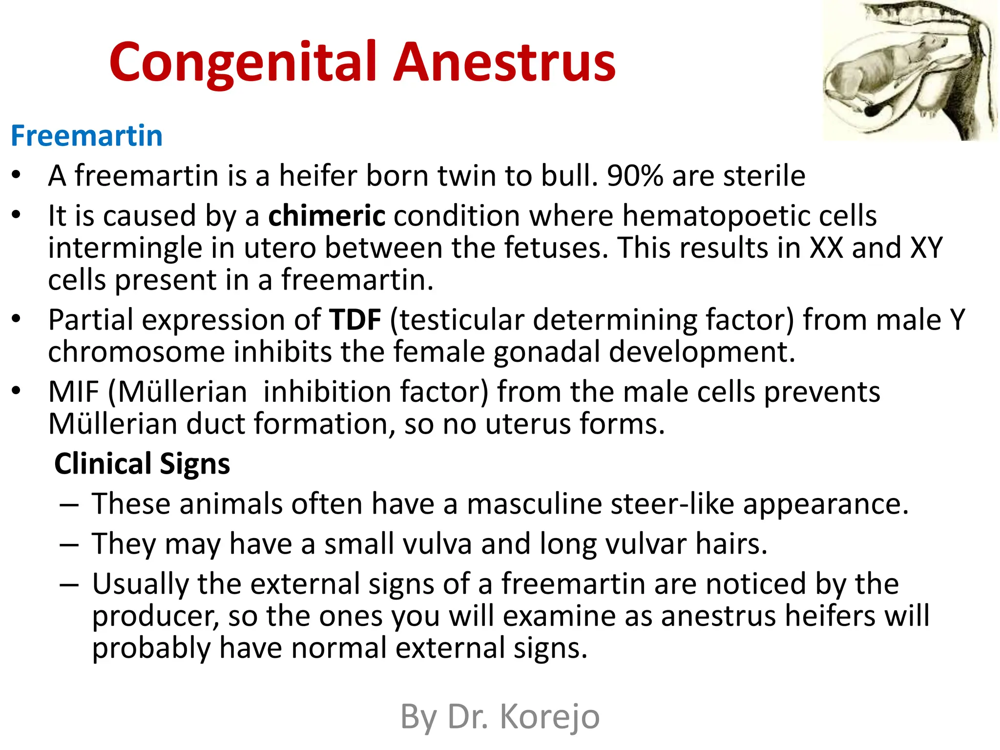 4 - Anestrus Meaning Before Estrus 2-3 days | PPTX