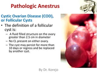 4 - Anestrus Meaning Before Estrus 2-3 days | PPTX