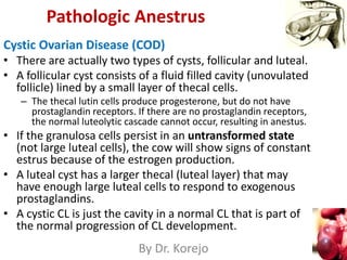 4 - Anestrus Meaning Before Estrus 2-3 days | PPTX