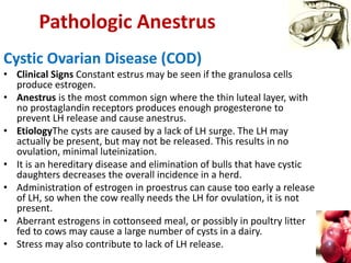 4 - Anestrus Meaning Before Estrus 2-3 days | PPTX