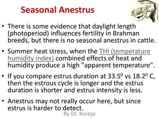4 - Anestrus Meaning Before Estrus 2-3 days | PPTX