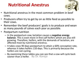 4 - Anestrus Meaning Before Estrus 2-3 days | PPTX