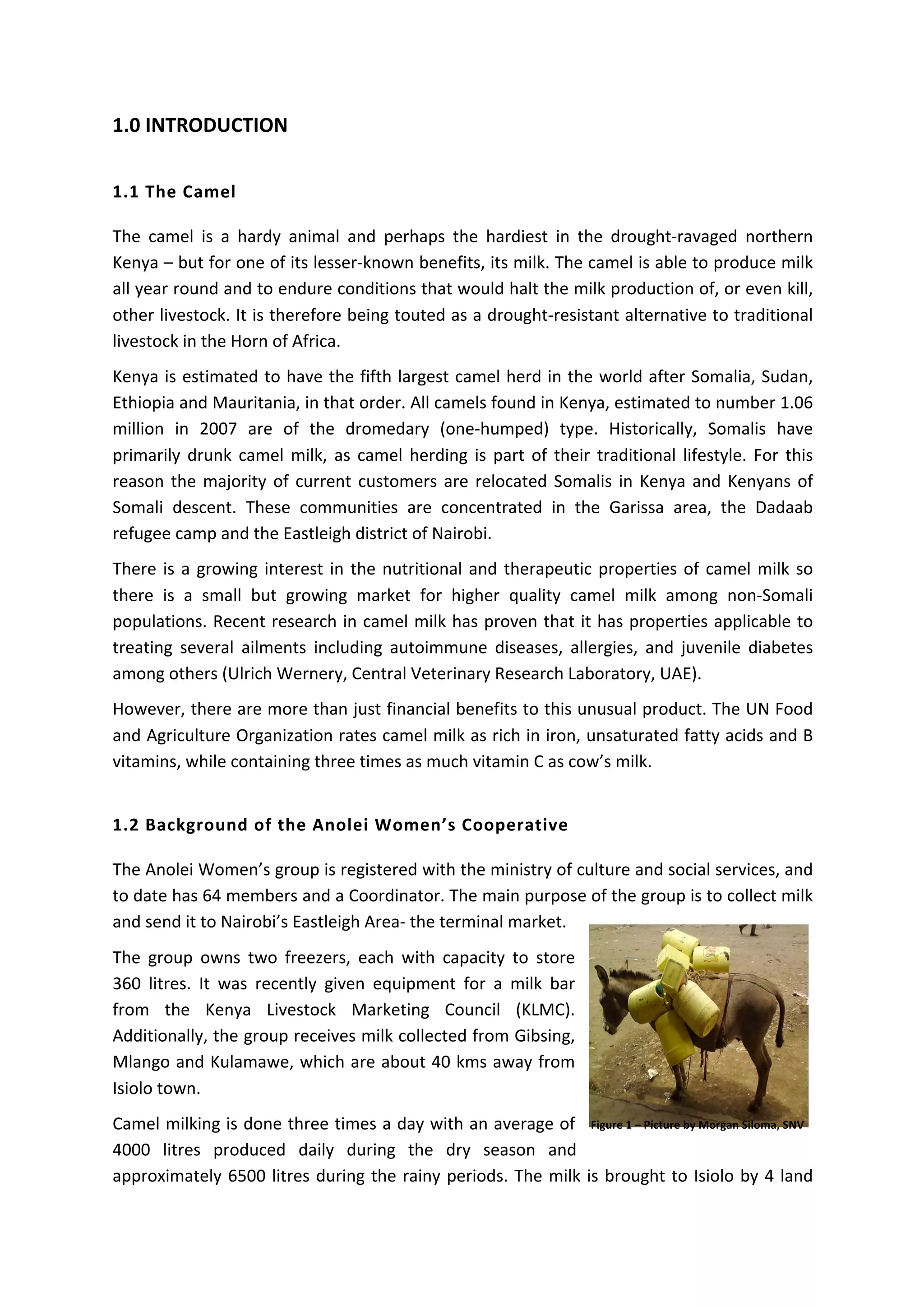 Anolei Camel Milk Cooperative Pdf