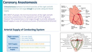 4-Arterial supply and venous drainage of the heart.pdf