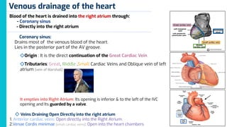 4-Arterial supply and venous drainage of the heart.pdf