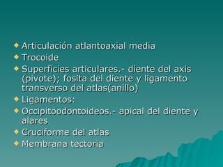 4. articulaciones columna jrx | PPT