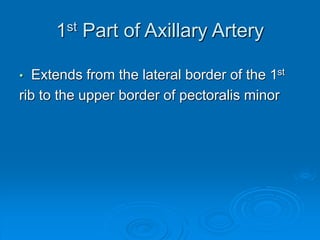 4-AXILLA.ppt