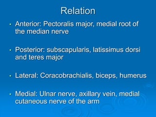 4-AXILLA.ppt