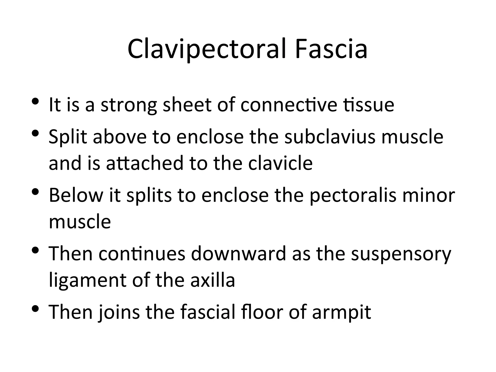4-AXILLA.ppt anatomy of the axillary region | PPT