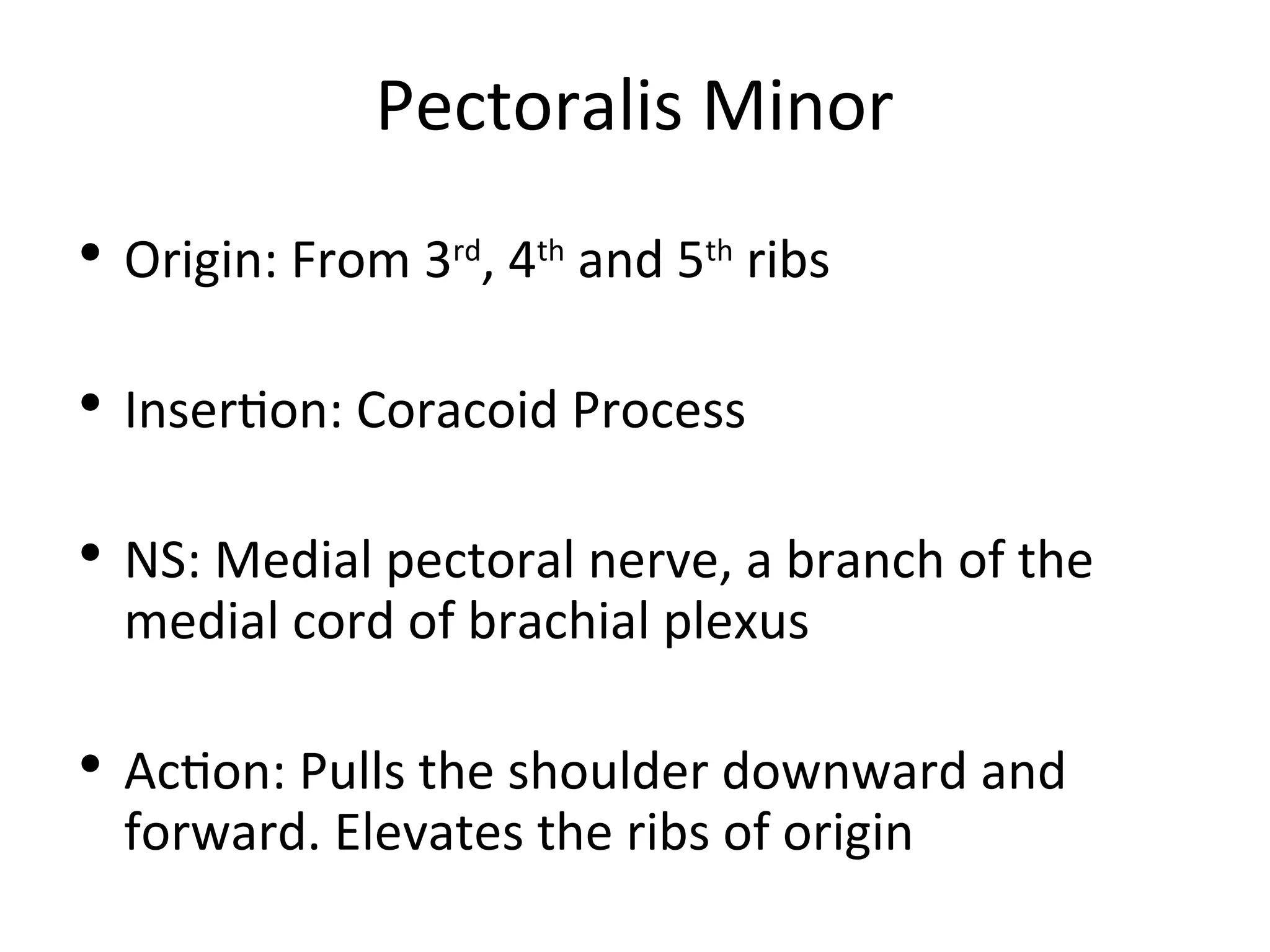 4-AXILLA.ppt anatomy of the axillary region | PPT