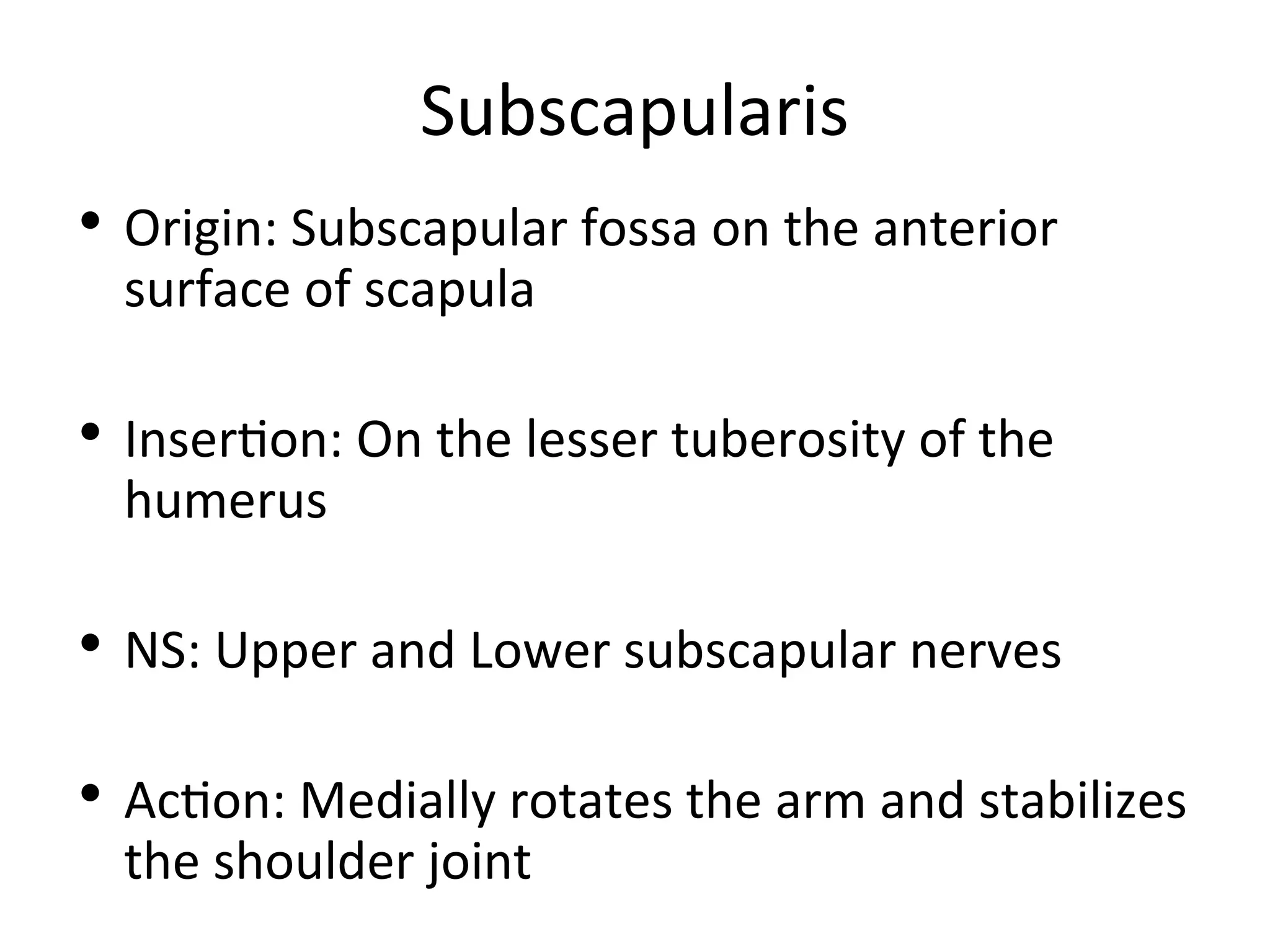 4-AXILLA.ppt anatomy of the axillary region | PPT