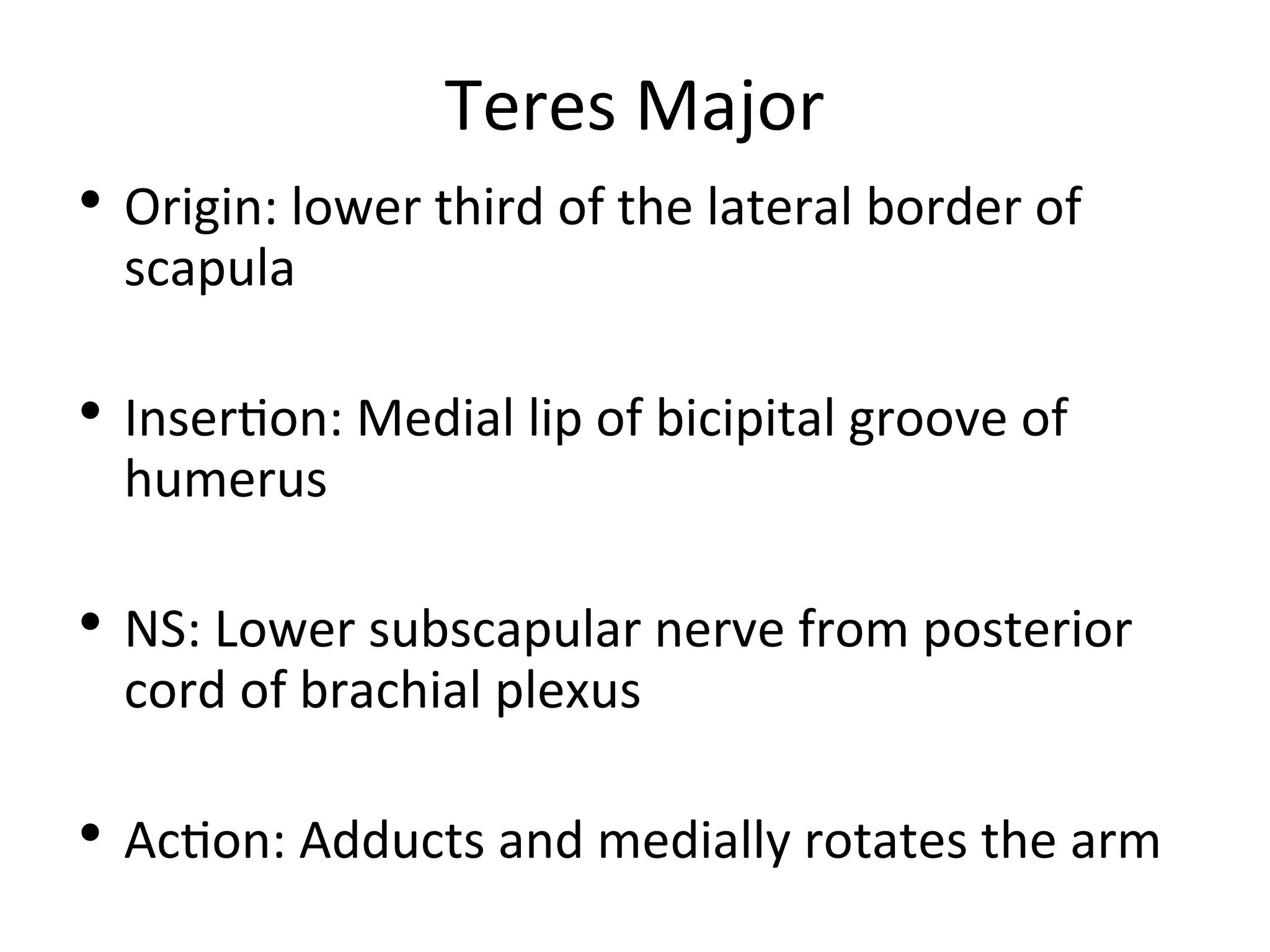 4-AXILLA.ppt anatomy of the axillary region | PPT