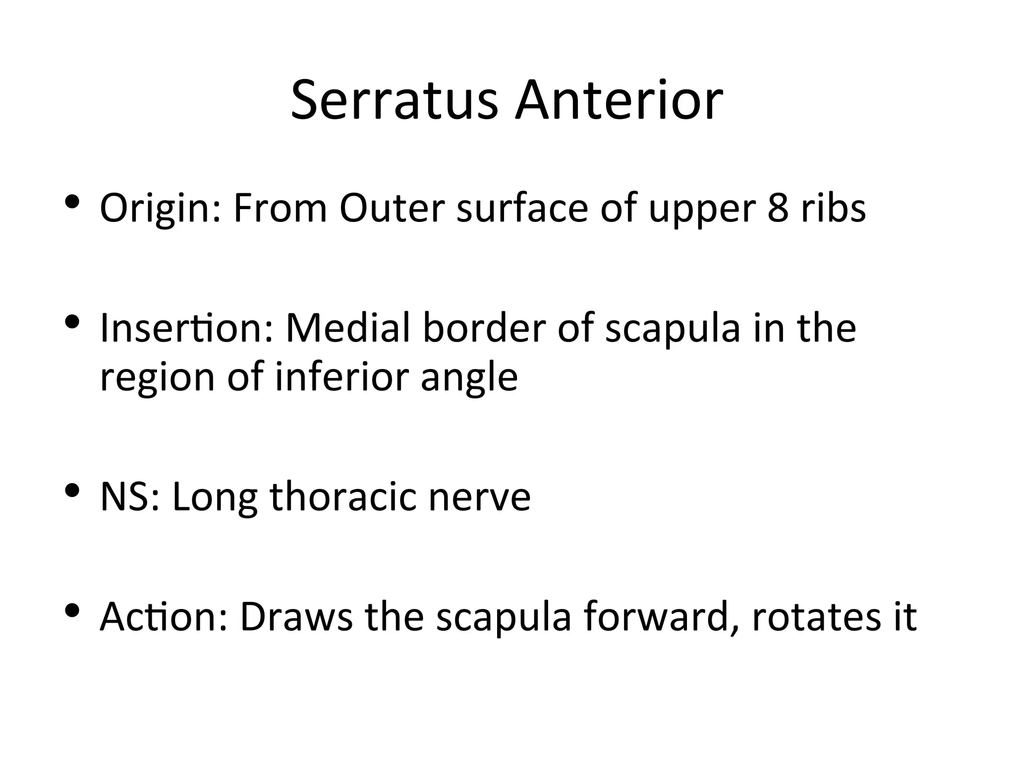 4-AXILLA.ppt anatomy of the axillary region | PPT