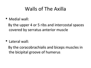 4-AXILLA.ppt anatomy of the axillary region | PPT
