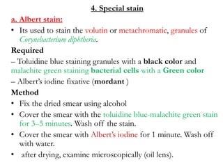 4- Bacterial Stainكمنكمنكمنطكمطكنمing.pptx
