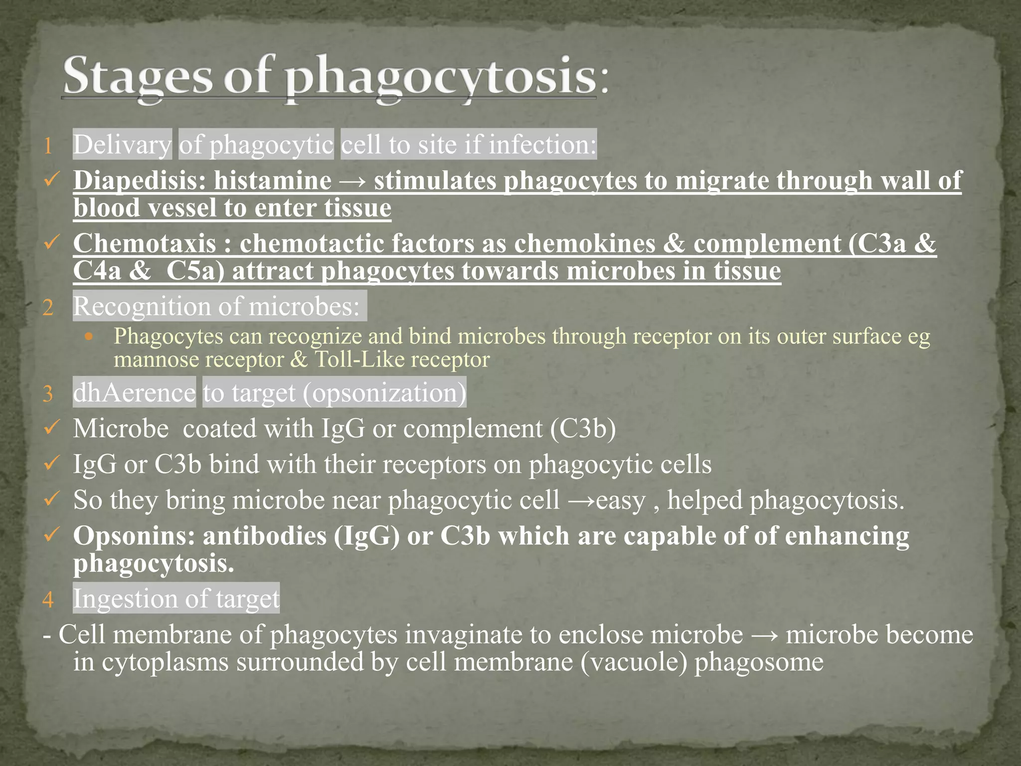 4 basic-immunology | PDF