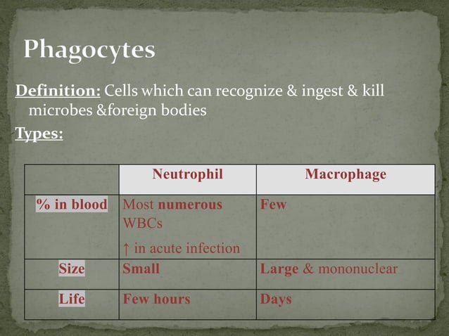 4 basic-immunology | PPT