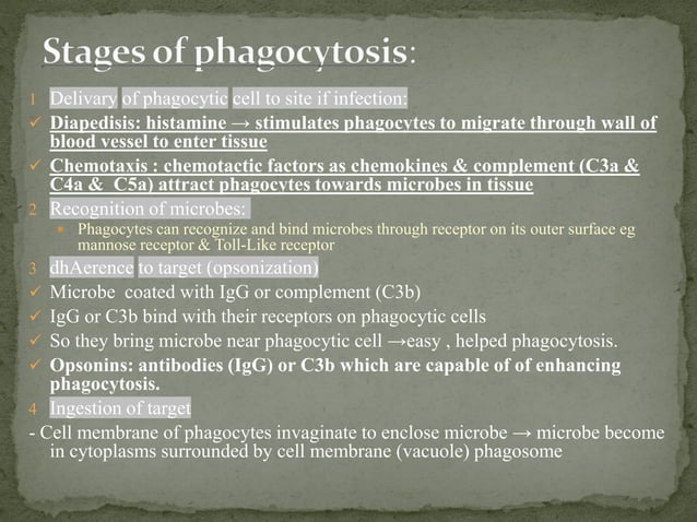 4 basic-immunology | PPT