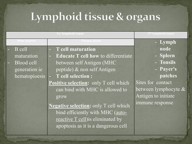 4 basic-immunology | PPT