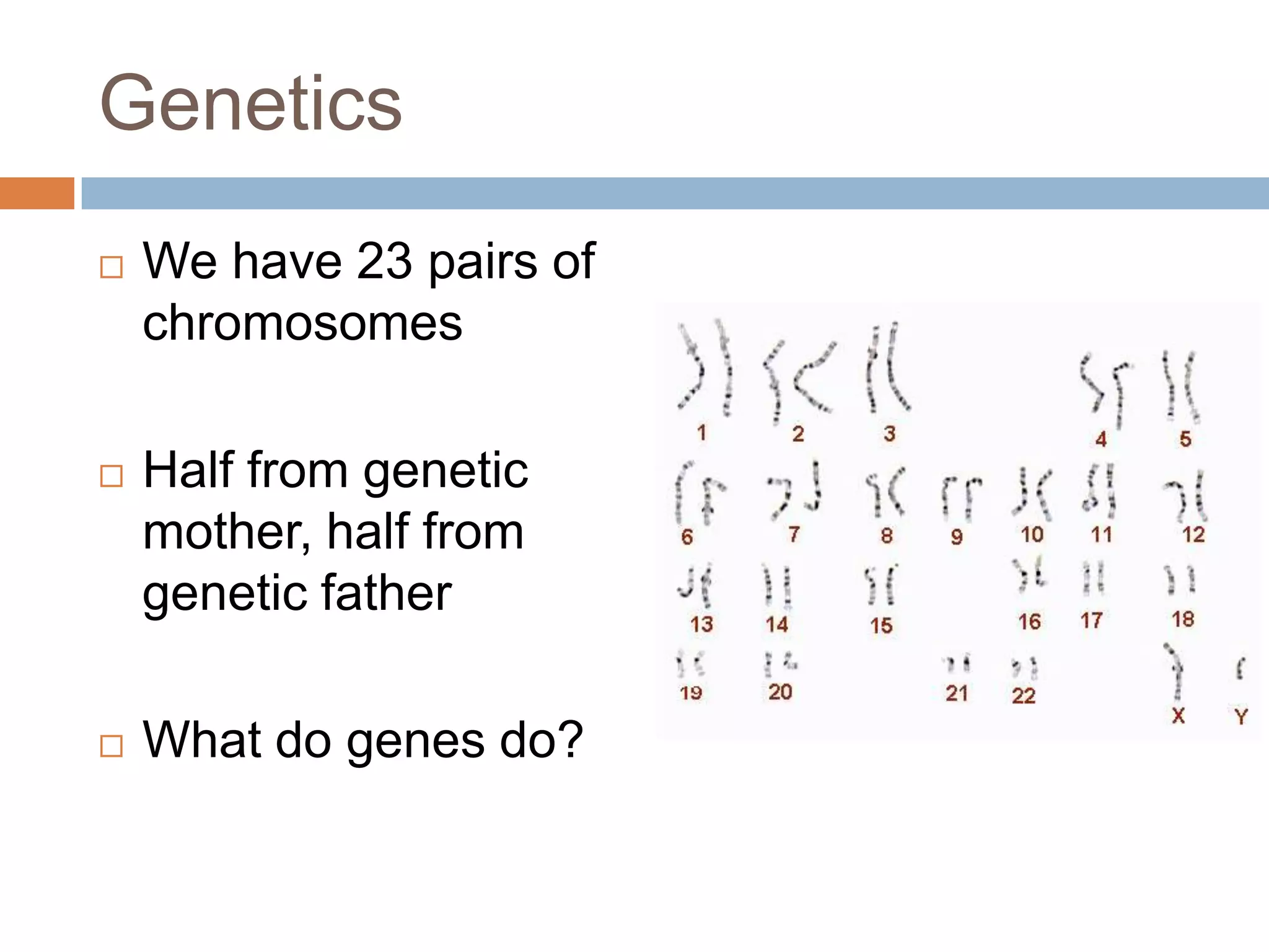 4 behavioral genetics and evolutionary psychology | PPT