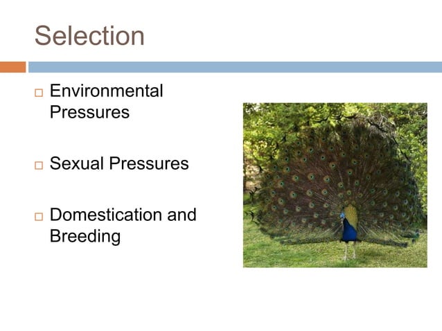 4 behavioral genetics and evolutionary psychology | PPT