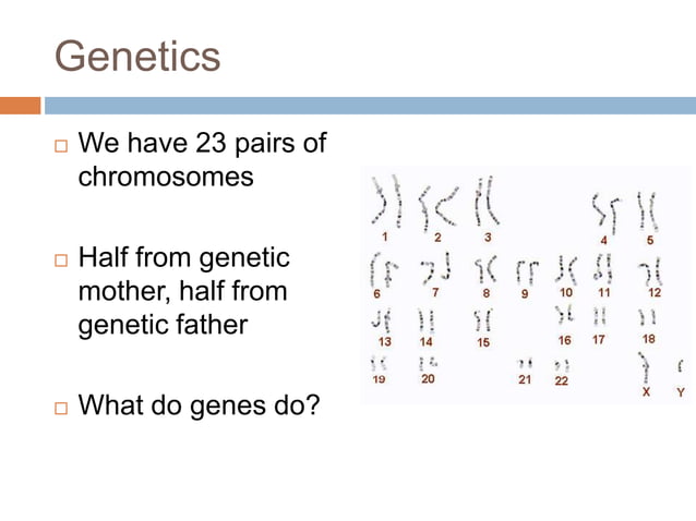 4 behavioral genetics and evolutionary psychology | PPT