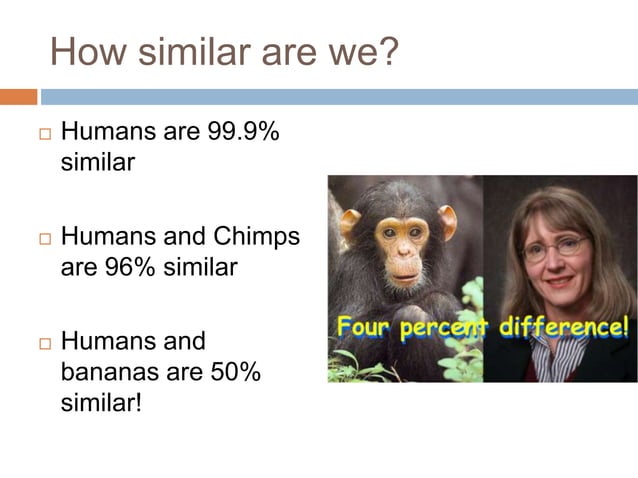 4 behavioral genetics and evolutionary psychology | PPT