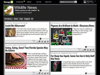 Beth Kanter: Content Curation for Nonprofits | PPTX