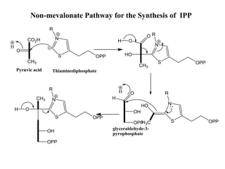 4-Biosynthesis of Terp-Steroid.pdf