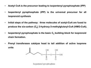 4-Biosynthesis of Terp-Steroid.pdf
