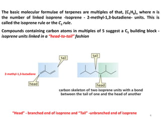 4-Biosynthesis of Terp-Steroid.pdf