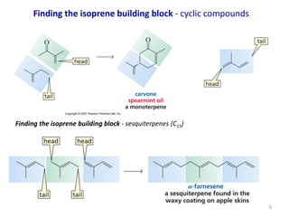 4-Biosynthesis of Terp-Steroid.pdf