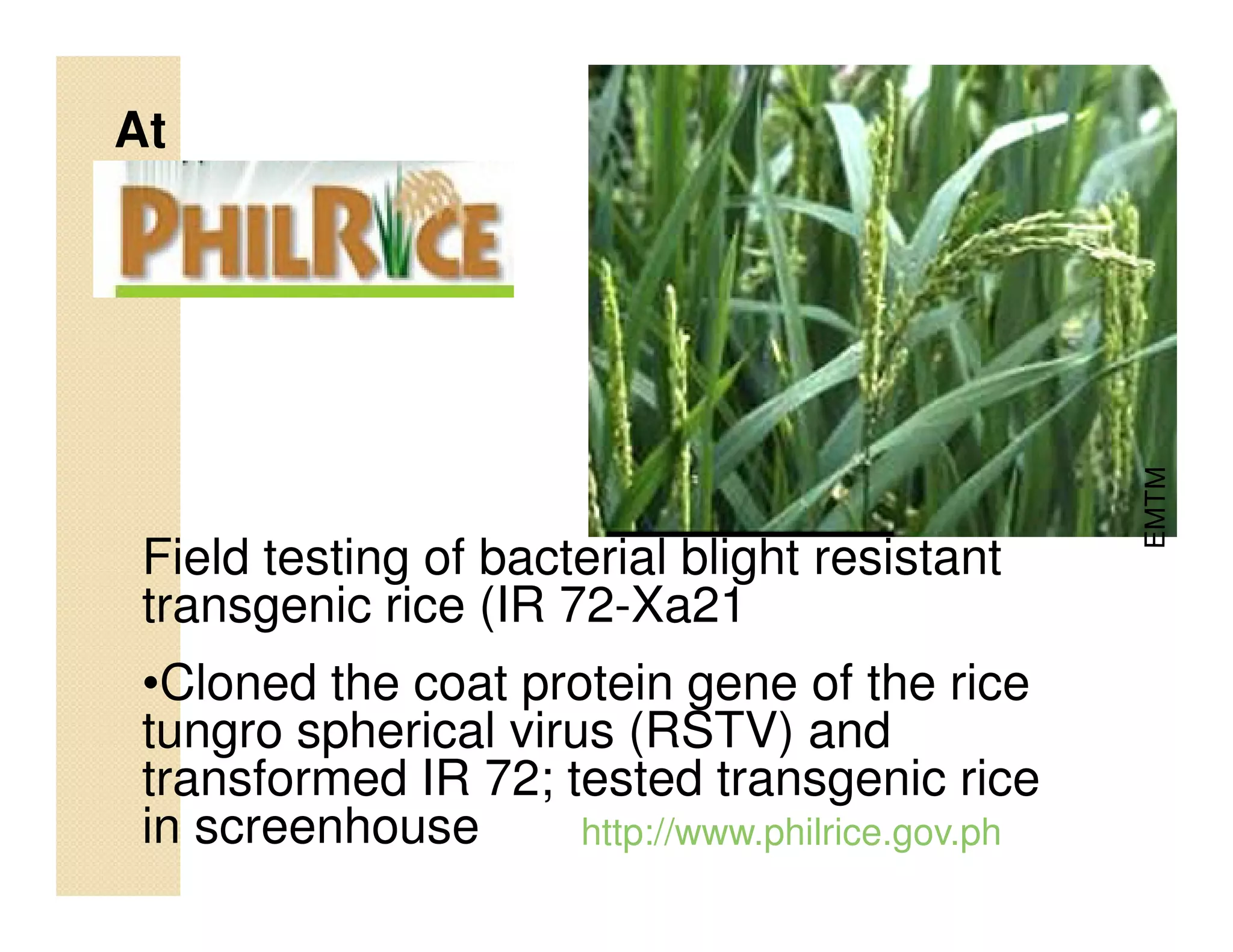 Biotechnology in the Philippines - NAST | PDF