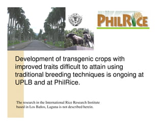 Biotechnology in the Philippines - NAST | PDF