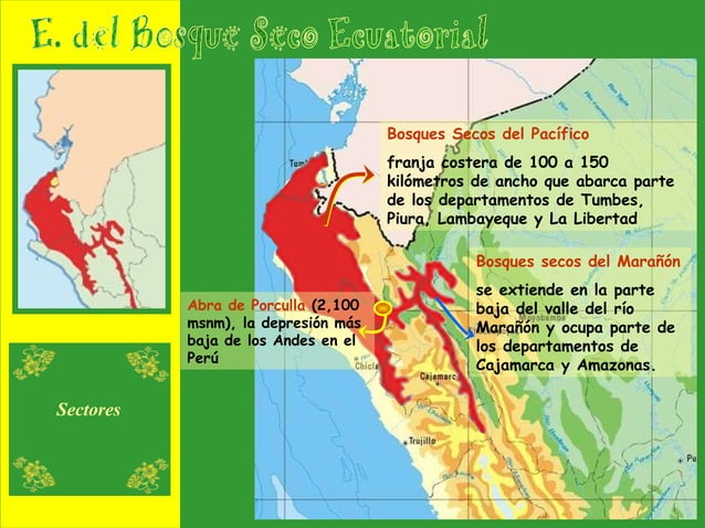 Bosque Seco Ecuatorial