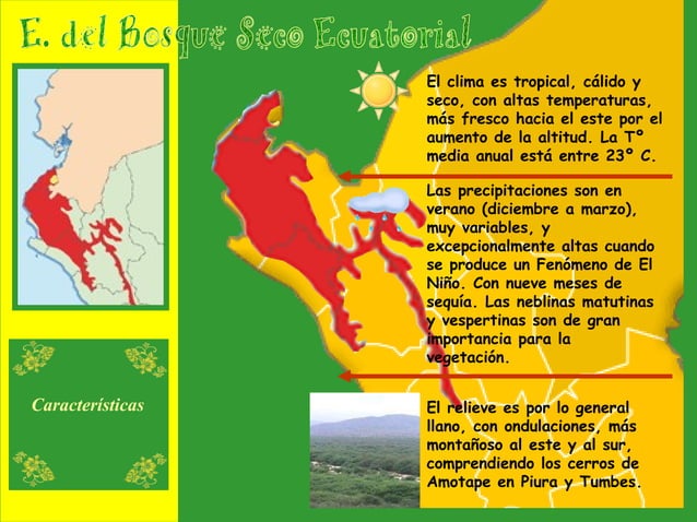 Bosque Seco Ecuatorial