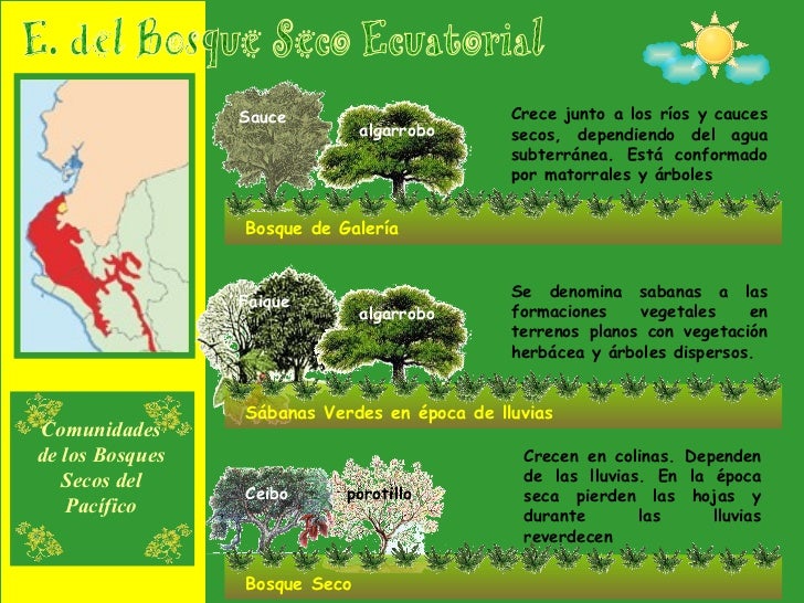 Bosque Seco Ecuatorial