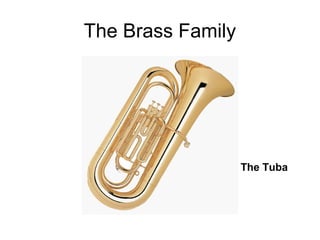4 brass-family | PPT