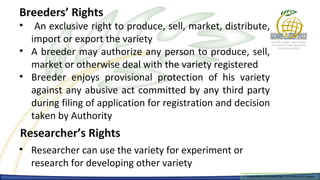 C1.2. Private and public interests: farmers' rights and breeders ...