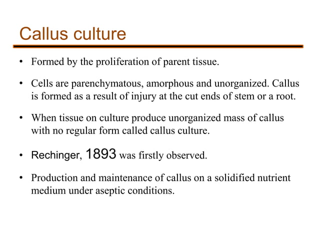 4-Callus Culture.pptx