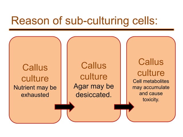 4-Callus Culture.pptx