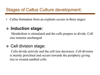 4-Callus Culture.pptx