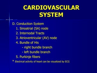 4 Cardiovascular | PPT