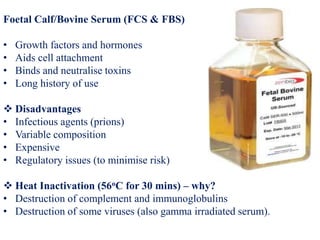 4 cell culture environment 1 lecture 4 | PPTX