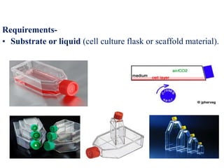 4 cell culture environment 1 lecture 4 | PPTX