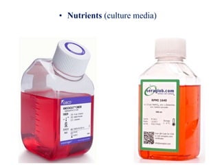 4 cell culture environment 1 lecture 4 | PPTX