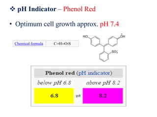 4 cell culture environment 1 lecture 4 | PPTX